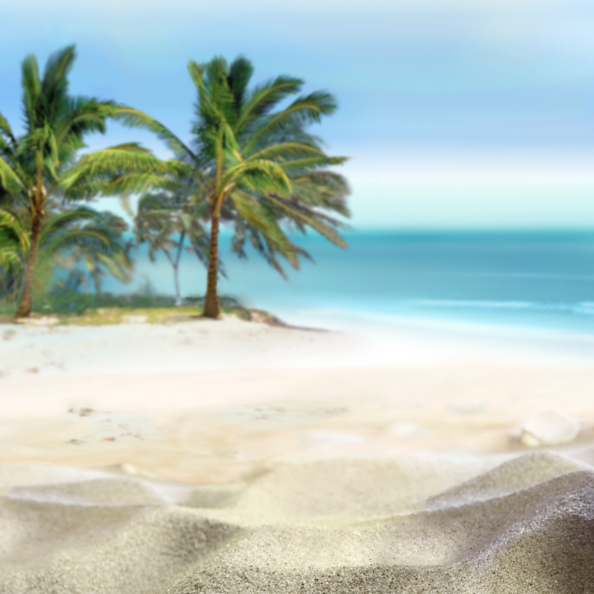 Wechselfeilen | Feilen | Jet Set Beauty | Onlineshop